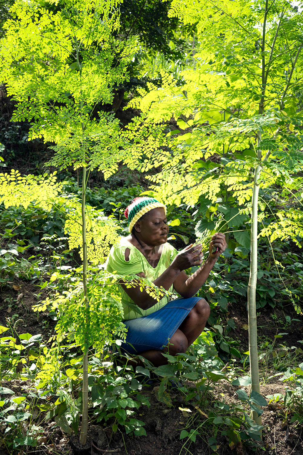Bender plants trees for a sustainable future